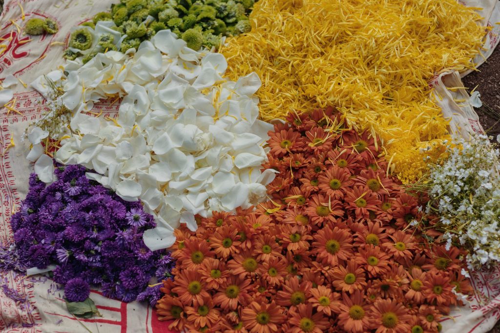 WAYEB- Time out of Time - Lavalove